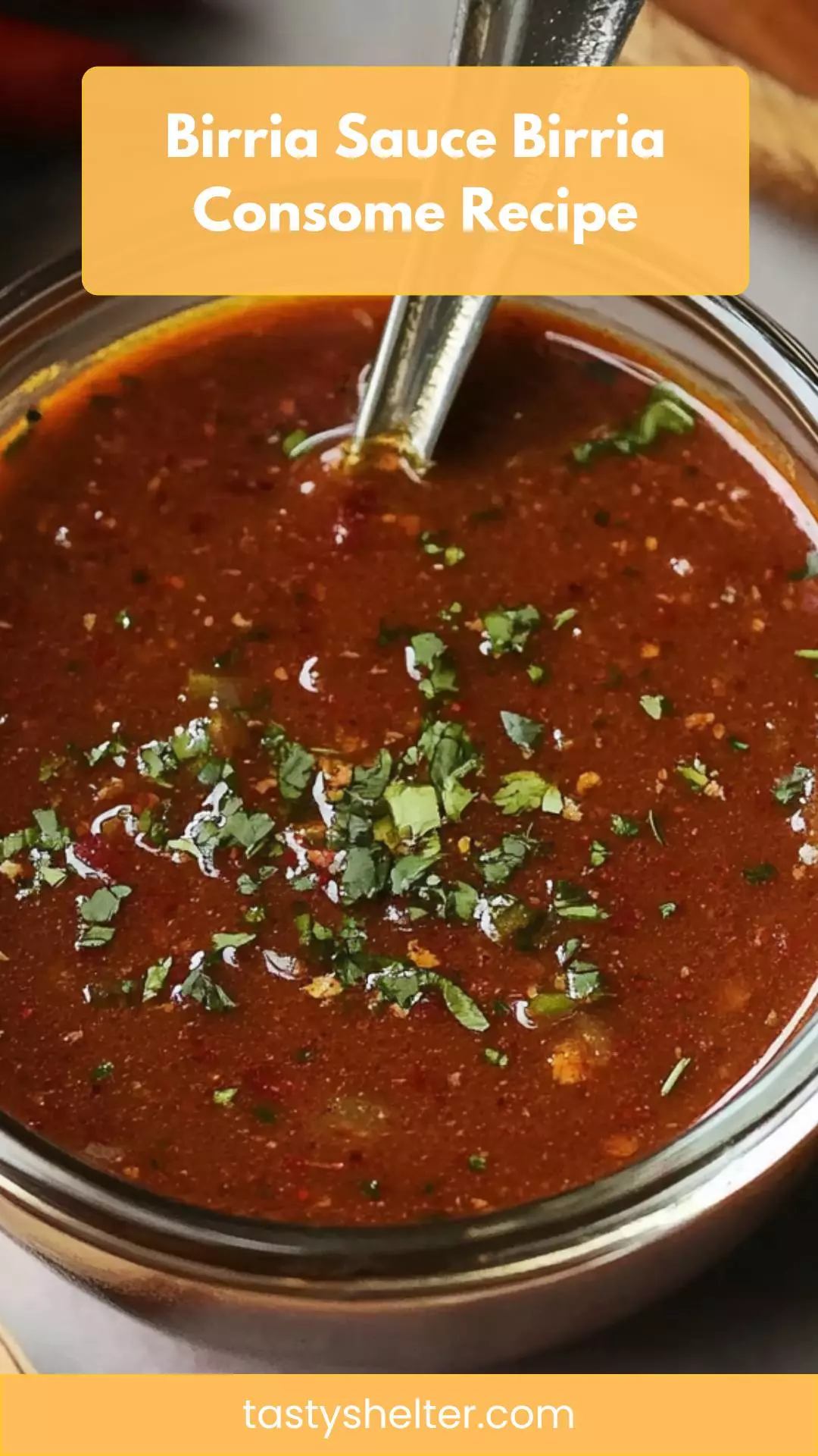 Birria Sauce Birria Consome Recipe – Tasty Shelter