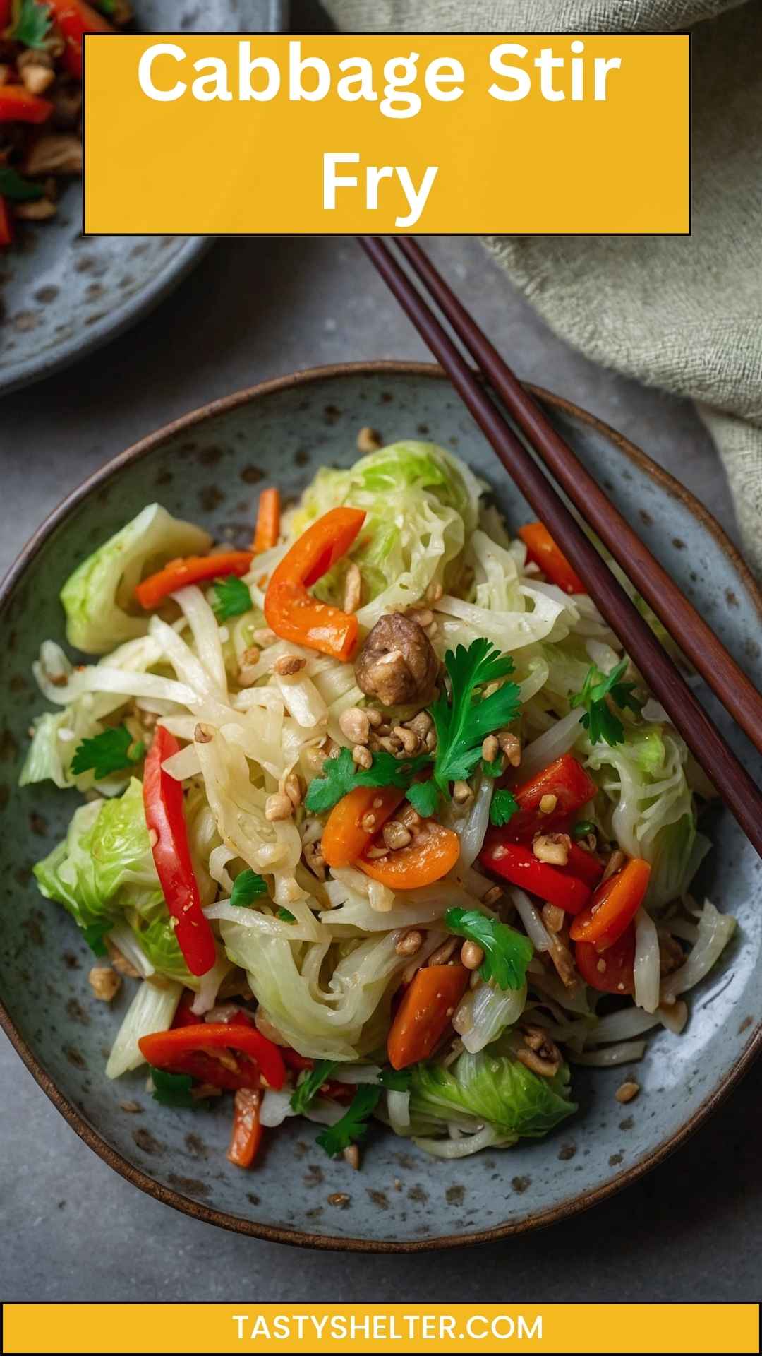Cabbage Stir Fry - Tasty Shelter